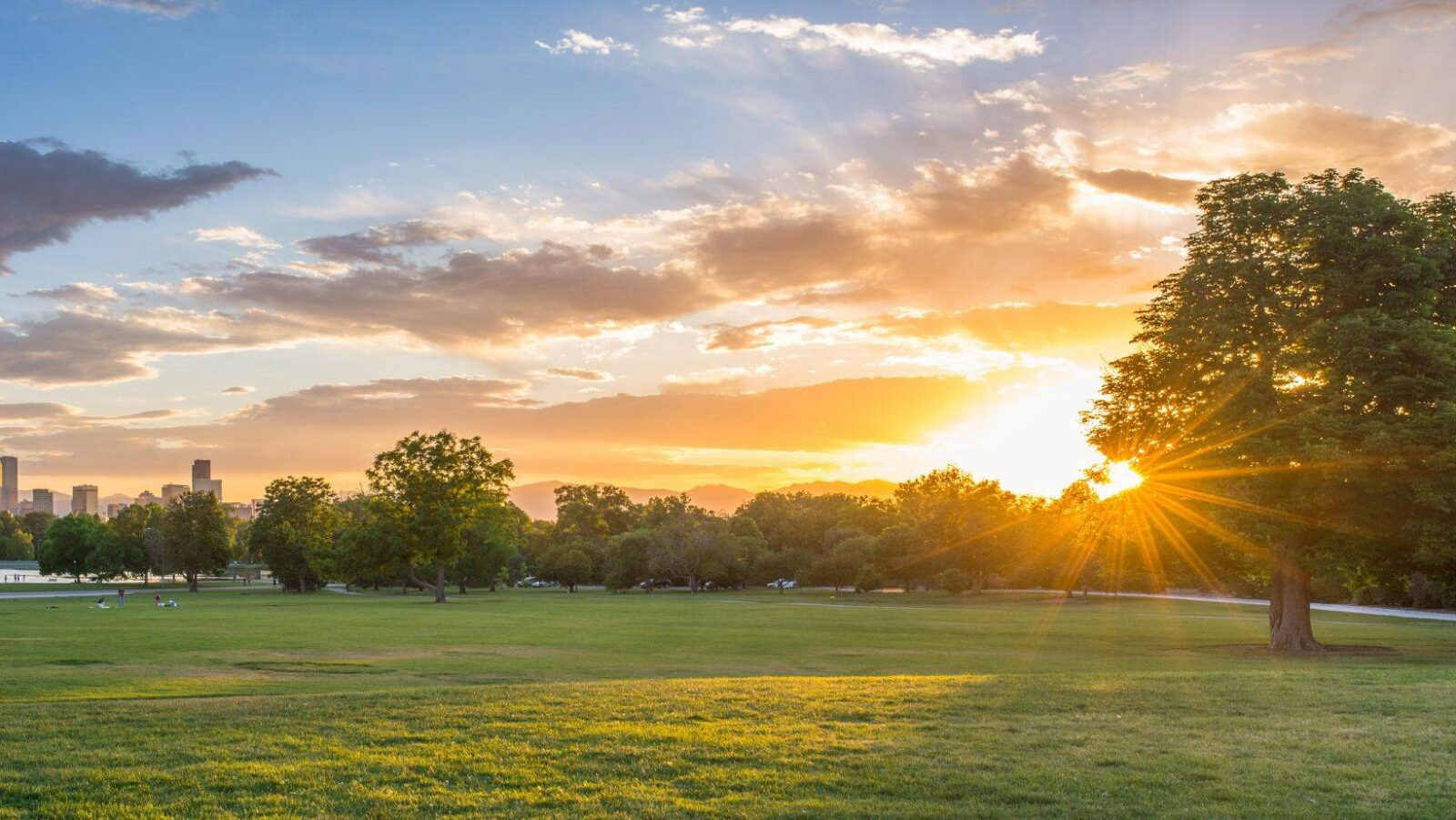 Relocating to Denver: A Beginner's Guide to- Relo.ai