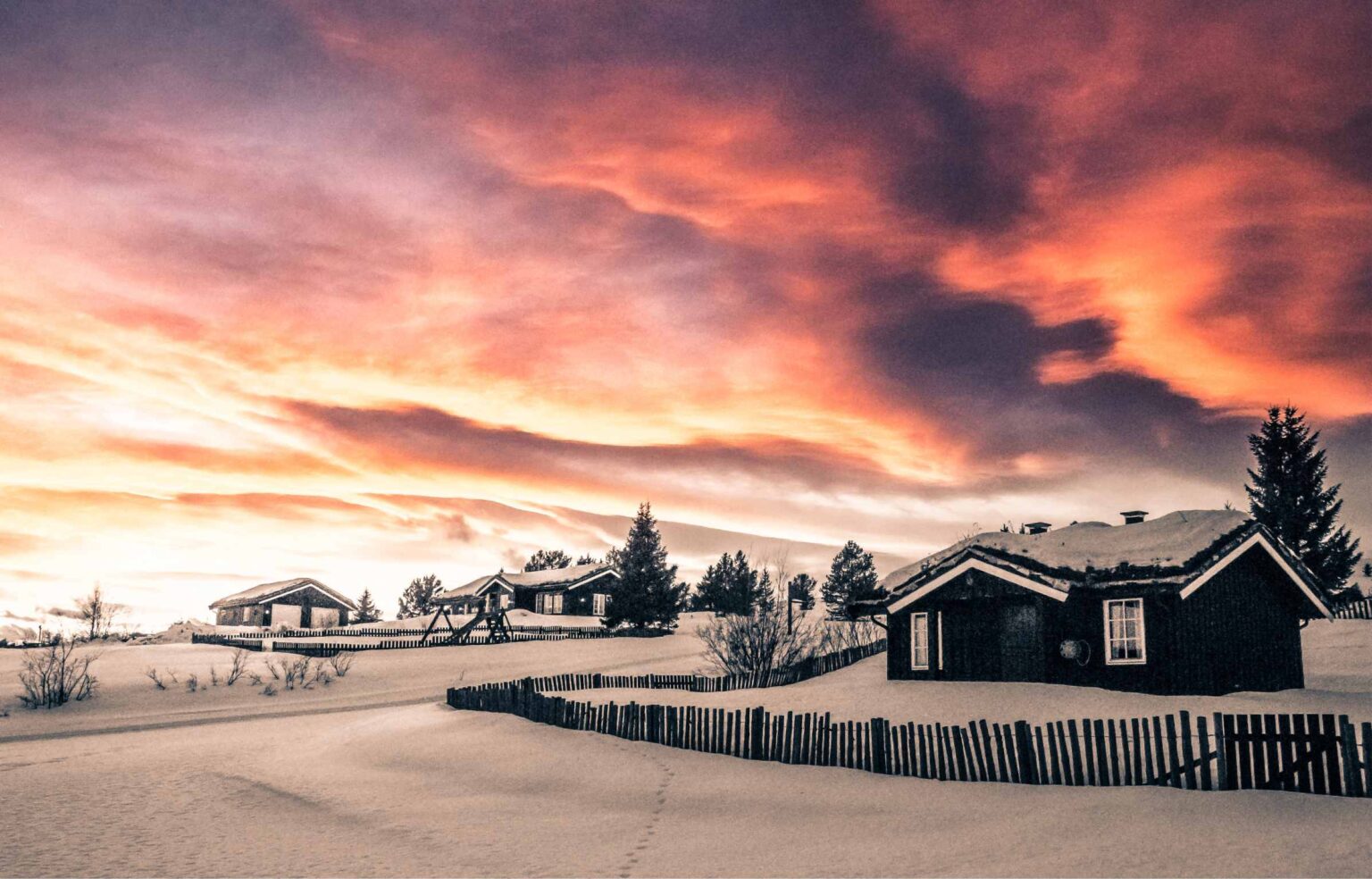 Moving to Norway from the USA is Easier with This Guide