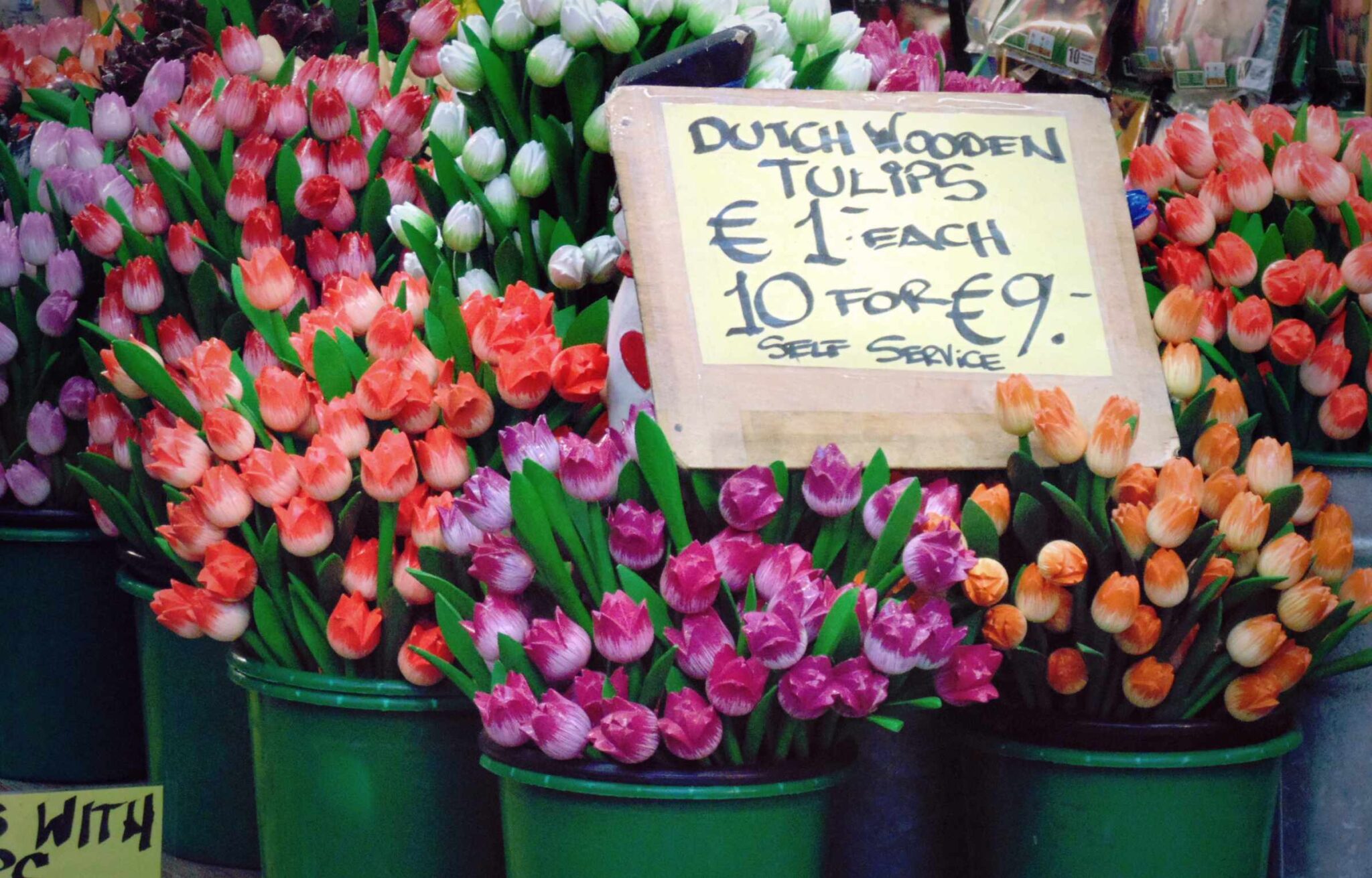 Best Time to Go to Amsterdam That Every Tourist Must Know